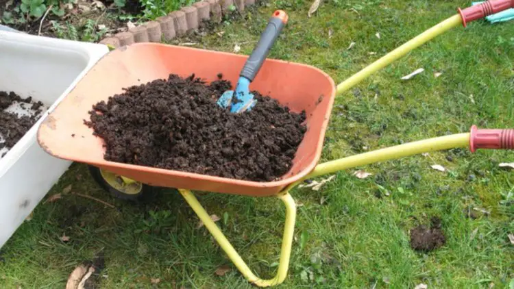 The Compost Pit – A Stroke of Genius for the Garden – Tipsin the Garden