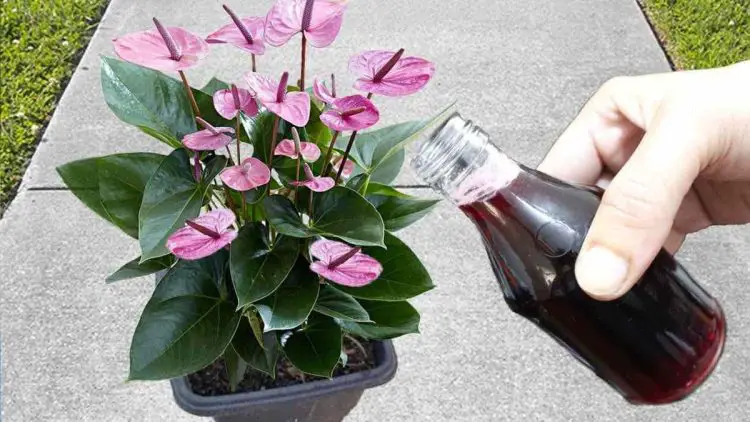 Just One Tablespoon of This Ingredient Will Instantly Bring all the ...