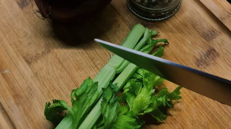 Growing Celery at Home: A Simple Tutorial – Tipsin the Garden