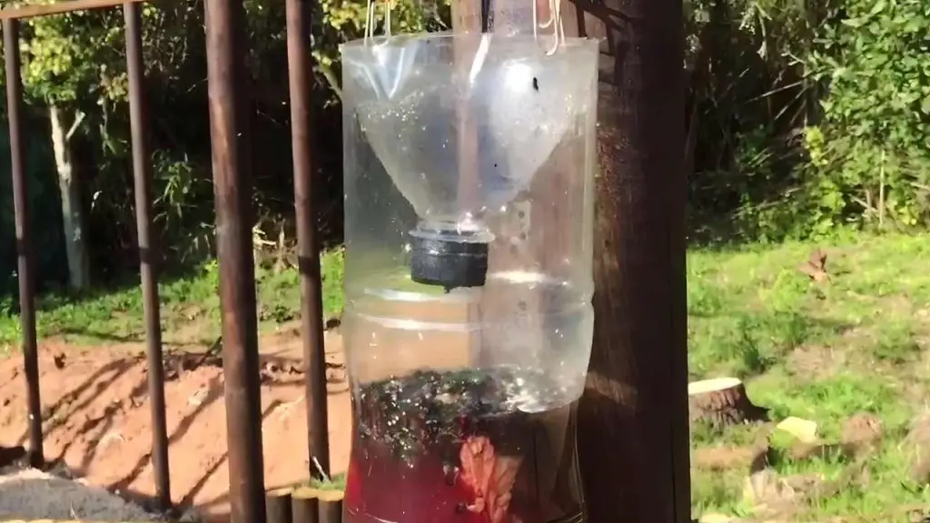 DIY Fly Trap: These Ingredients Drive Flies Away for Good – Tipsin the ...