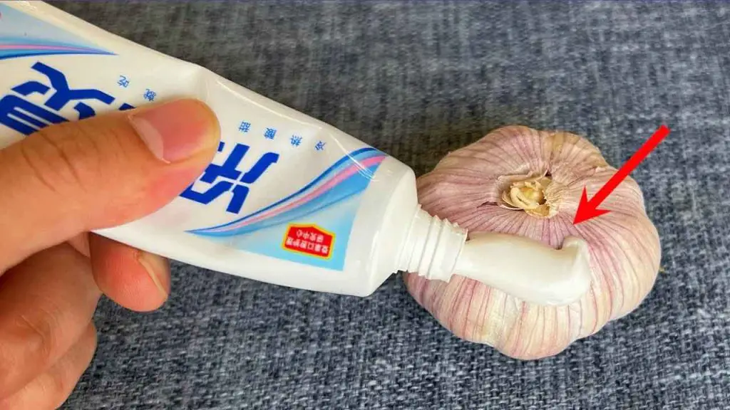 Harness the Power of Garlic Toothpaste: You Won’t Believe Its Benefits ...