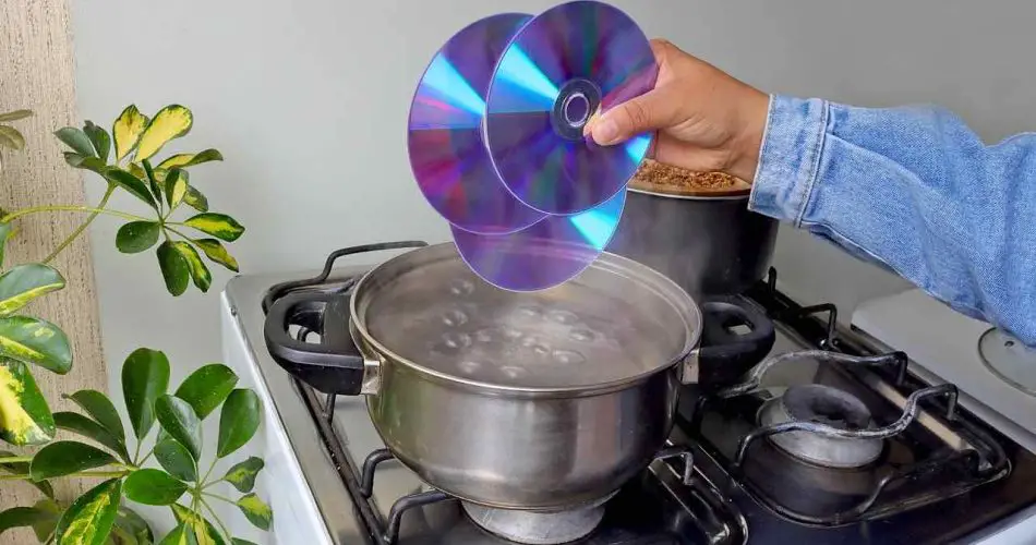 Don’t Throw Away Old CDs: Boil Them for Amazing DIY Projects! – Tipsin ...