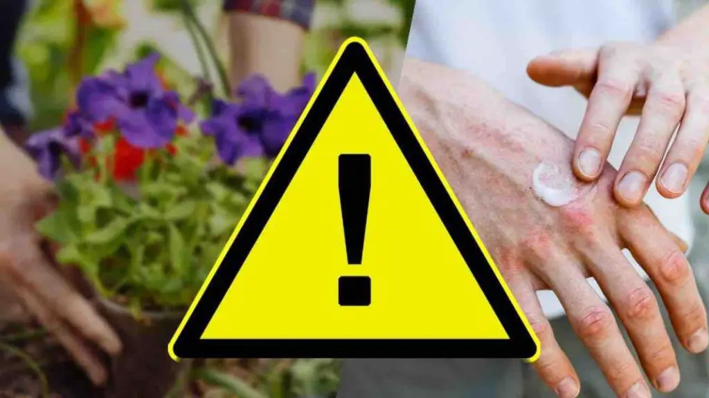 Garden, This Plant is Incredibly Toxic: Beautiful But Lethal | Many ...