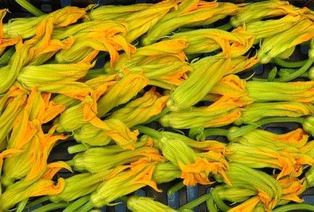 Zucchini Flowers: How to Cook Them? Some Delicious Ideas – Tipsin the ...
