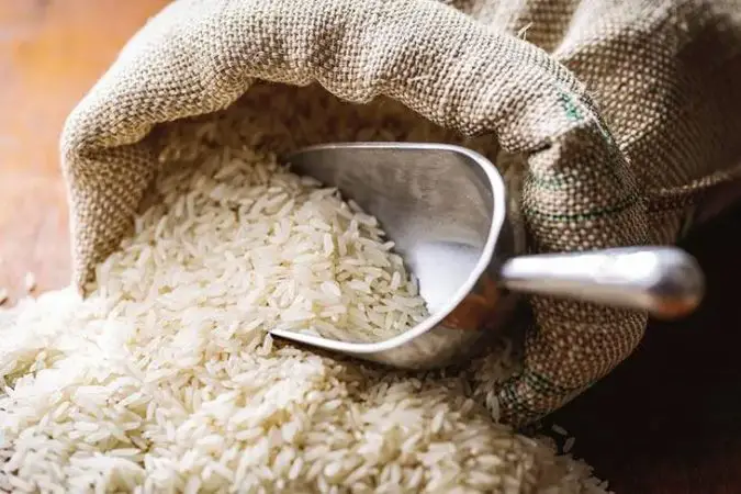 How to Make Natural Garden Fertilizer with Rice – Tipsin the Garden