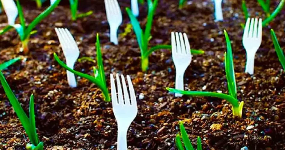 Why You Should Plant Plastic Forks in Your Garden – Tipsin the Garden
