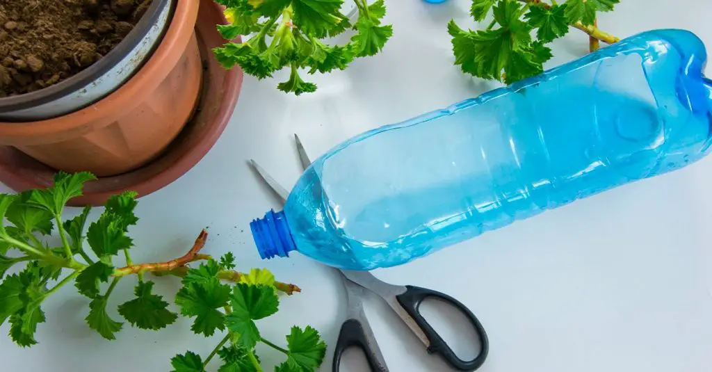 5 Simple Ways to Keep Your Plants Alive While on Vacation 🌿 ️ – Tipsin the Garden